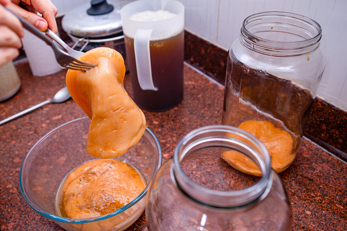 Monster dalam Toples: Bagaimana 'Teh Jamur' Bisa Menjadi Minuman Super ...