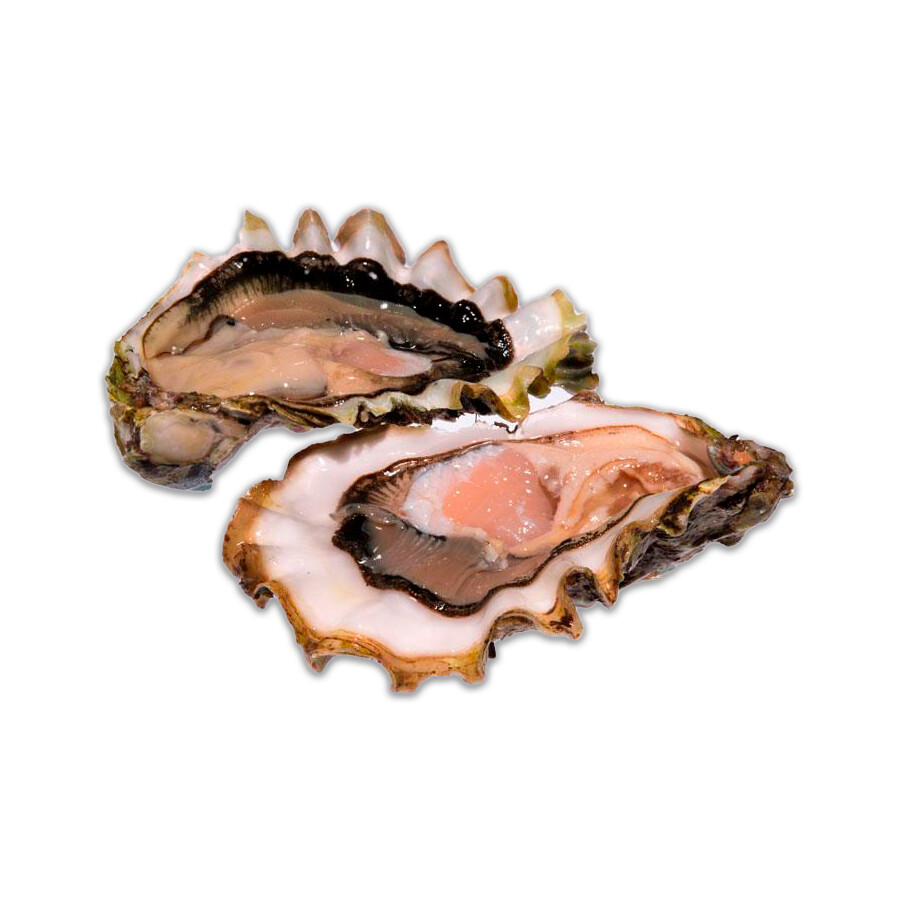 Guía para comer correctamente ostras de Extremo Oriente, un manjar ruso ...