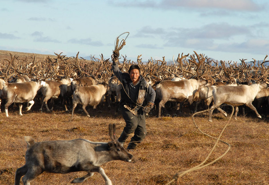 A Disappearing World: The Herders of Kamchatka - Russia Beyond