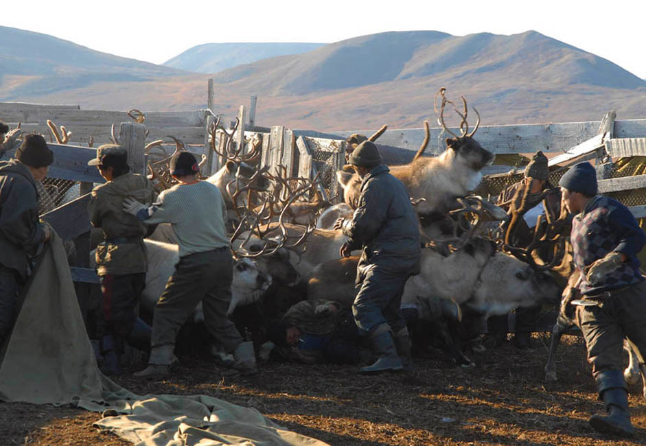 A Disappearing World: The Herders of Kamchatka - Russia Beyond