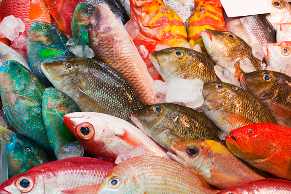 Week in Russian kitchen: Fish week, Russian whiskey, gastronomic Moscow ...