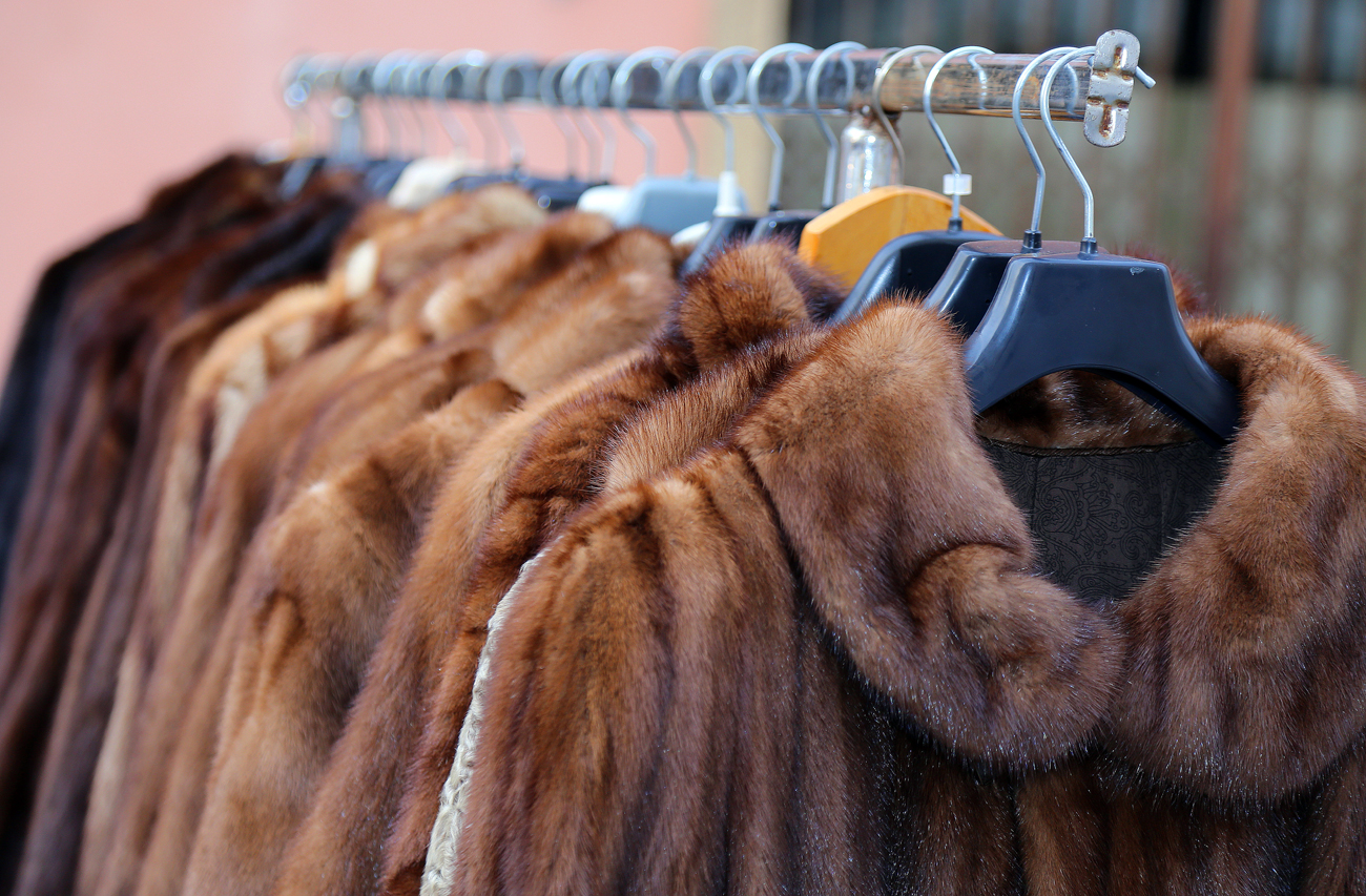 Russia cuts number of ‘grey’ fur goods on market by 800% in 6 months ...