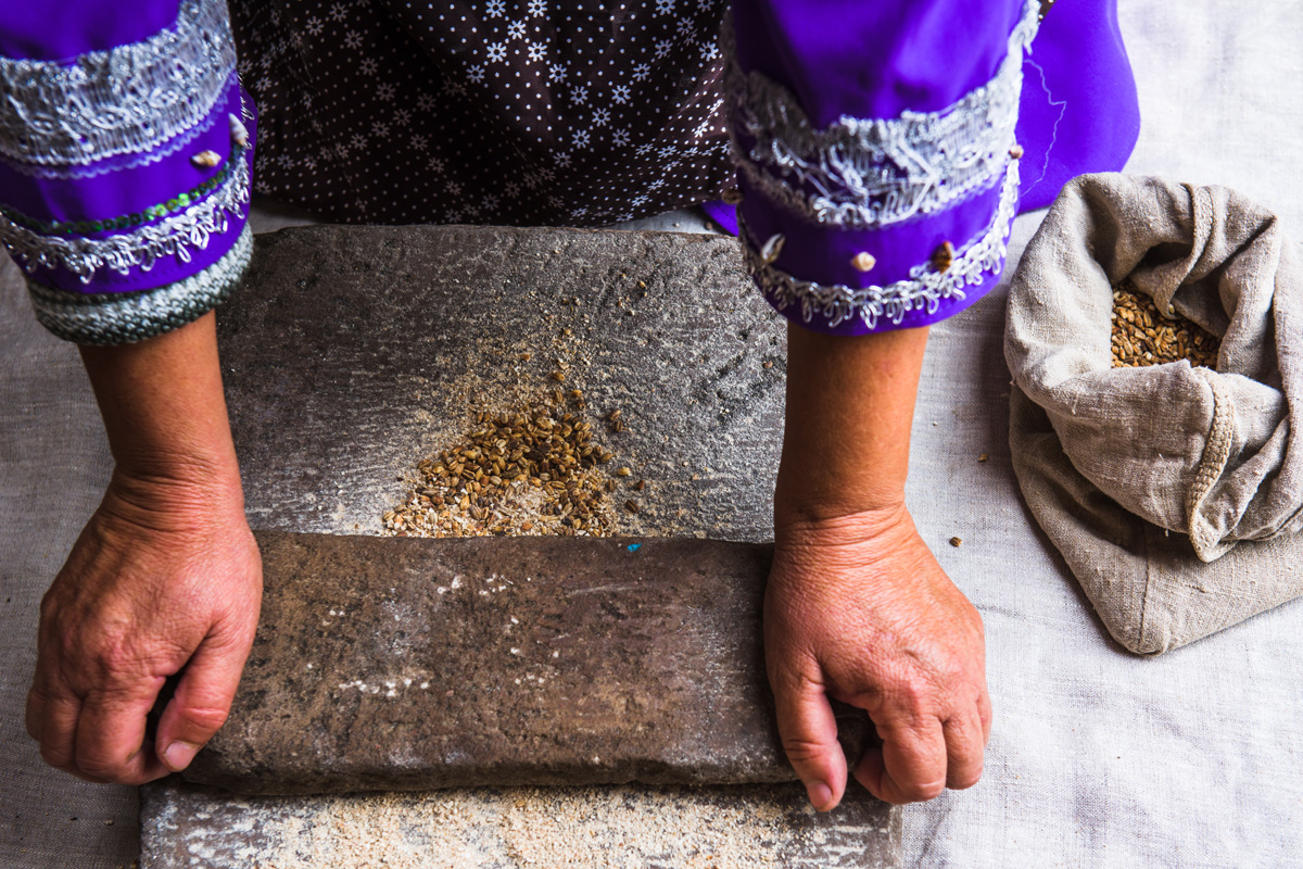 The life and times of modern Kumandins, the Swan People of Altai ...