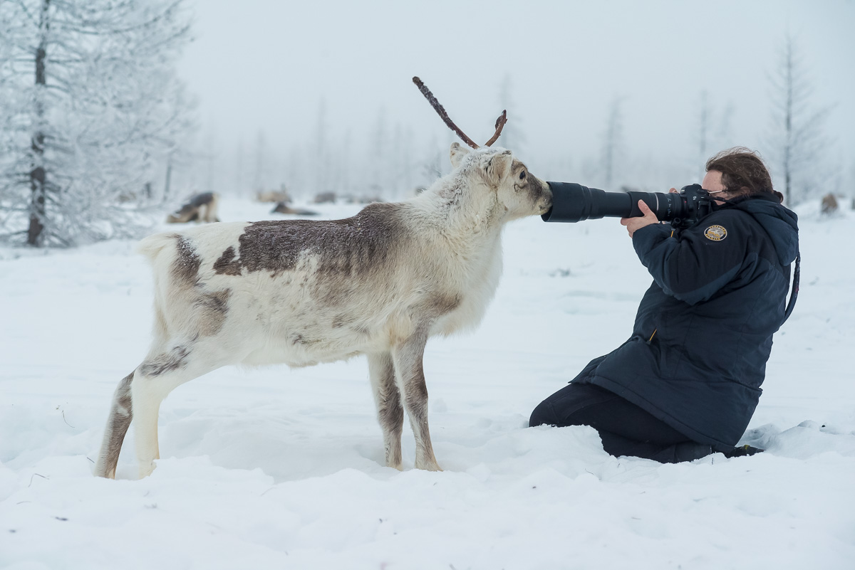 Follow me: How reindeer herders spend their life going after deer ...