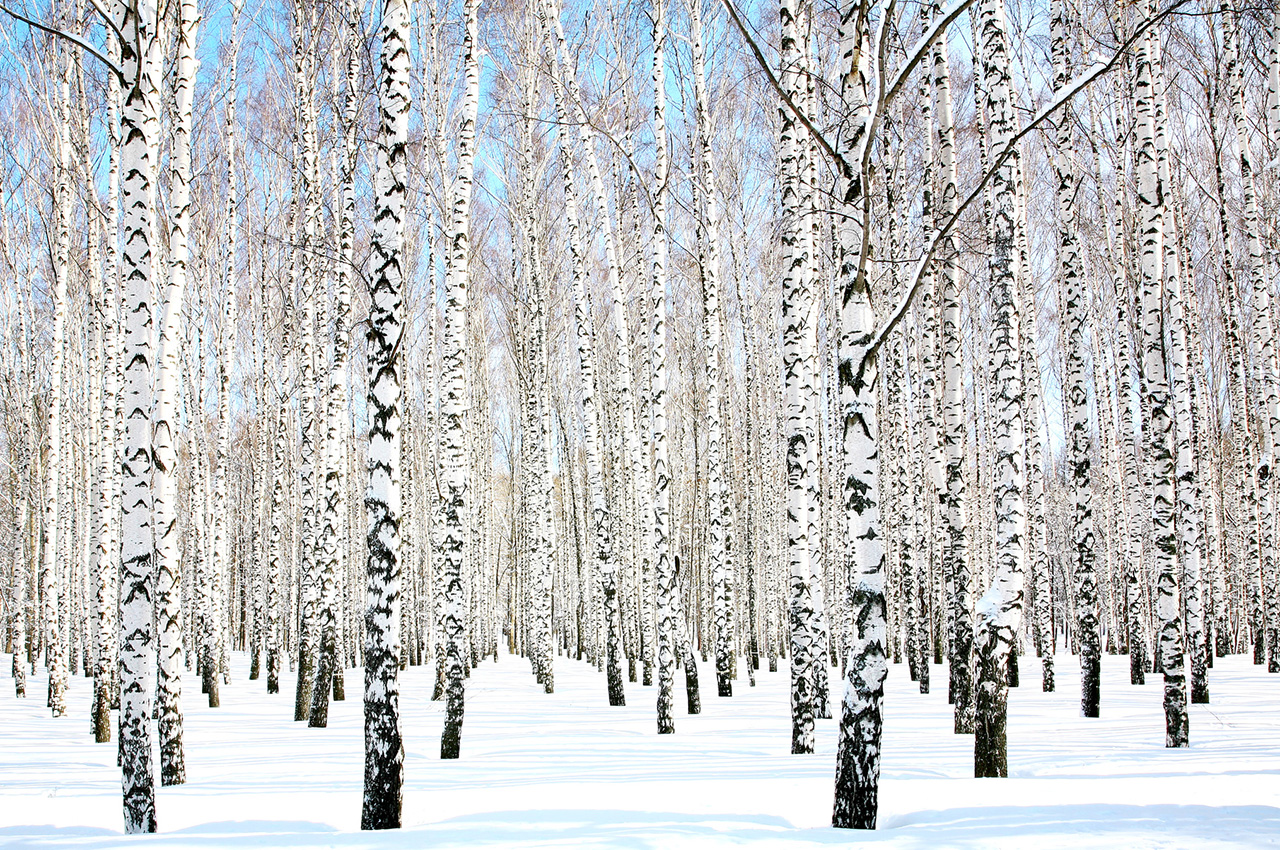 Magic moments: Splendid Russian winter in photos and literary quotes ...