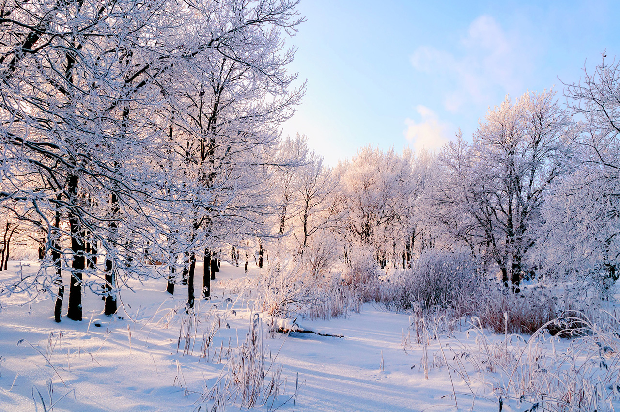 Magic moments: Splendid Russian winter in photos and literary quotes ...