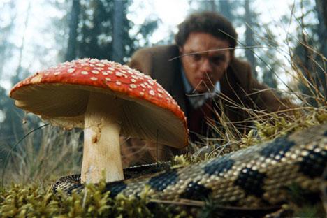 The 11 best Russian films of the year - Russia Beyond