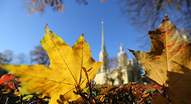 5 ways to spend the best fall ever in Saint Petersburg - Russia Beyond