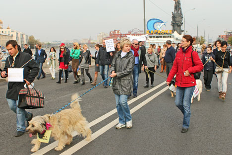 "Giving hope" walk with stray dogs was held in Moscow - Russia Beyond