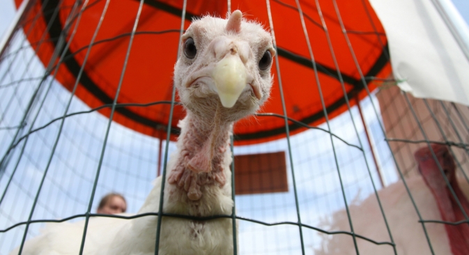 American expats celebrate Thanksgiving in Russia - Russia Beyond