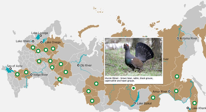 Good spots for hunting or fishing in Russia - Russia Beyond