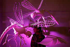 The paper arts festival in St. Petersburg - Russia Beyond