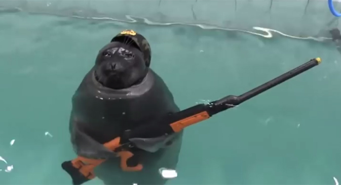 The real Navy Seals - Russian style - Russia Beyond