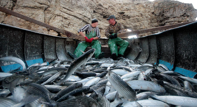 Russian fishing industry witnesses stable growth - Russia Beyond
