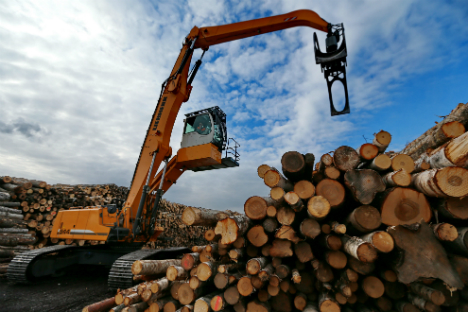 Russia sees significant increase in timber exports - Russia Beyond