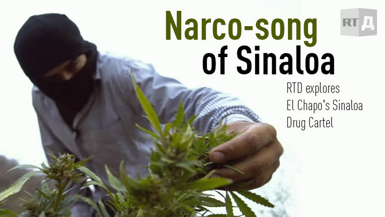 Narco-song of Sinaloa: RTD explores El Chapo's Sinaloa Drug Cartel ...