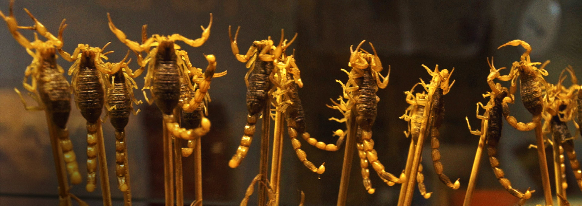 From scorpion kebabs to Peking duck, we try authentic Chinese food for ...